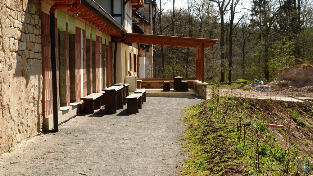 Im Wald "Hohes Holz" | Oschersleben Bode und Umgebung Foto Galerie